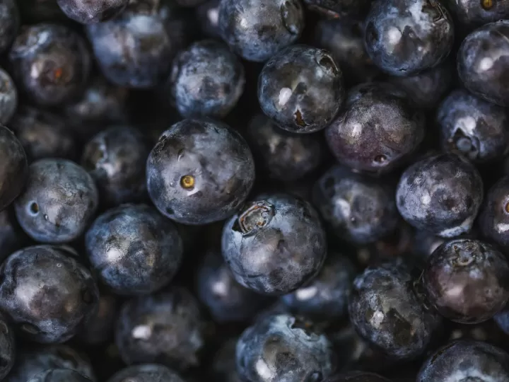 Guía completa sobre los beneficios del arándano para la cistitis: elección, dosis y ...