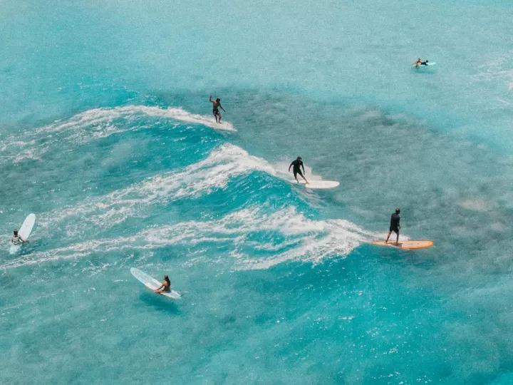 Explorando el mundo acuático con los drones submarinos: características ...